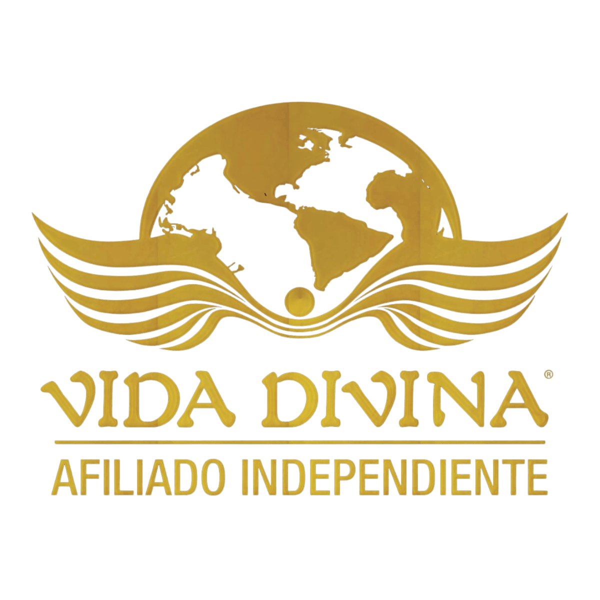 Té Divina: Todo lo Que Necesitas Saber y Dónde Comprar